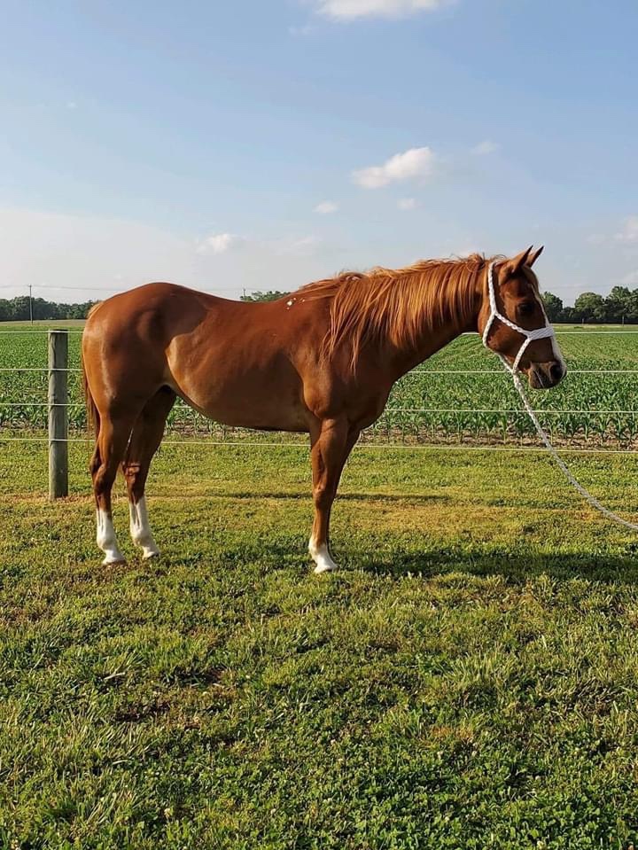 Testimonials – Beaver Ranch