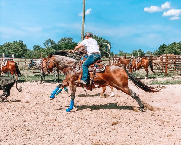 Photos – Beaver Ranch